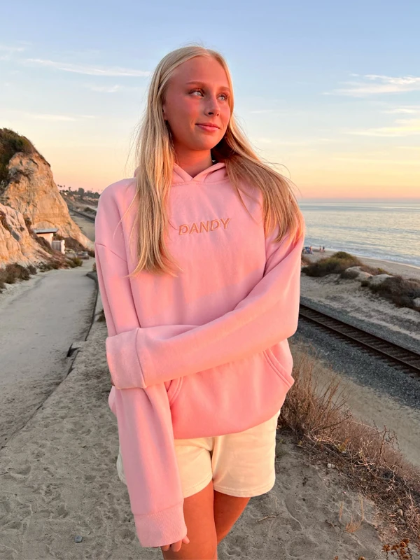 Dandy Lets Watch The Sunset Hoodie│pink Embroidered Hoodie